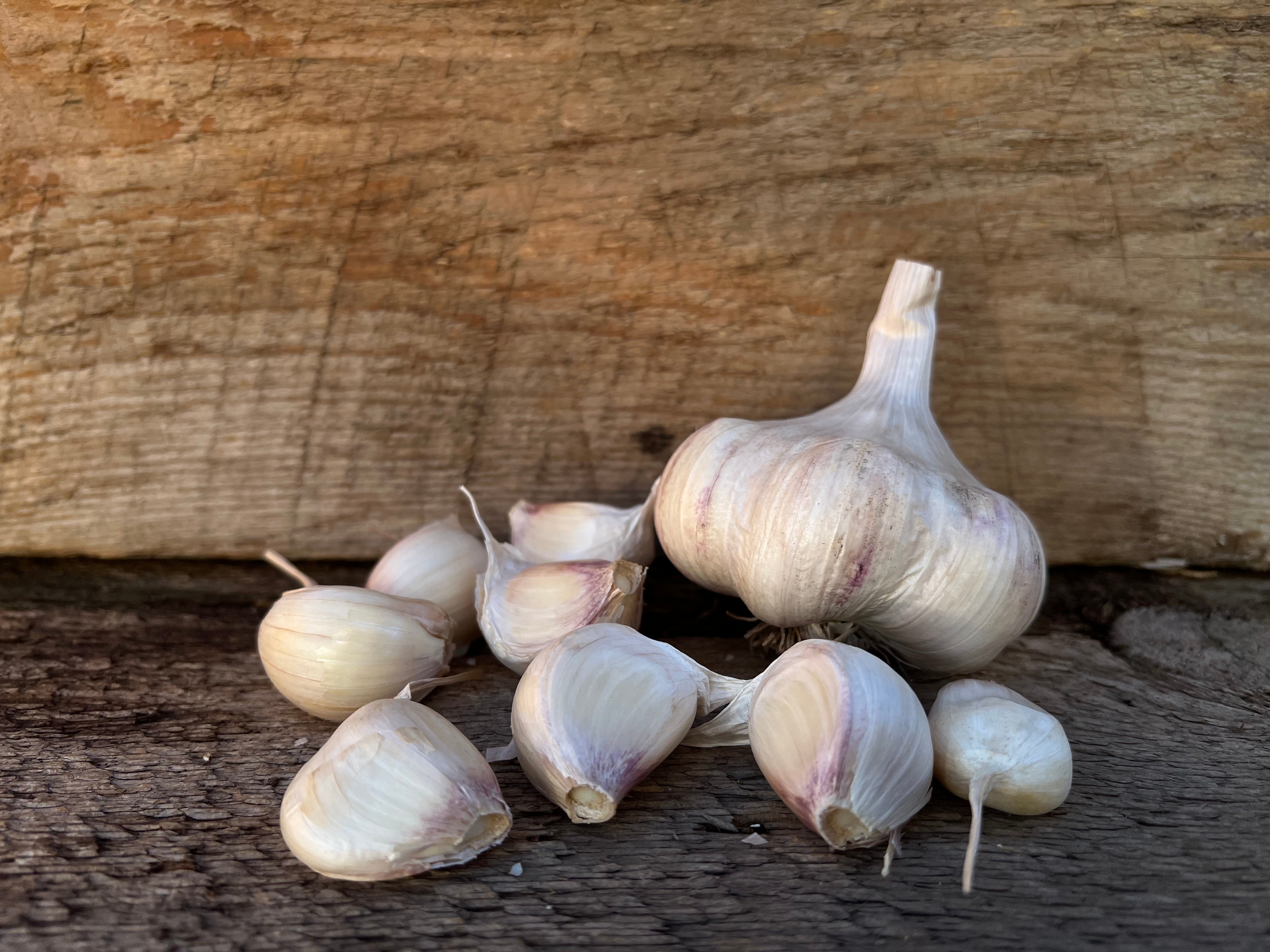 Softneck Seed Garlic Varieties – Grasshopper Collective
